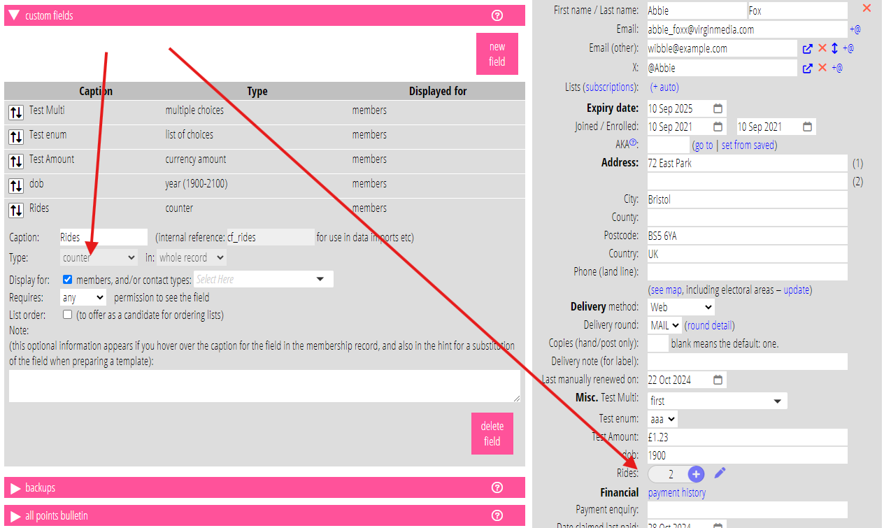 Custom field type Custom field type